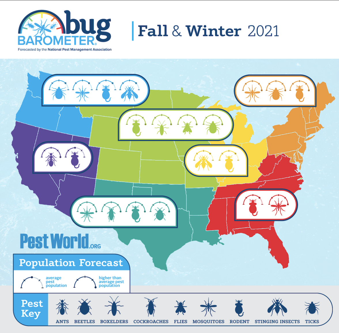 Watch Out For These Pests This Winter! | Winter Pests in Iowa